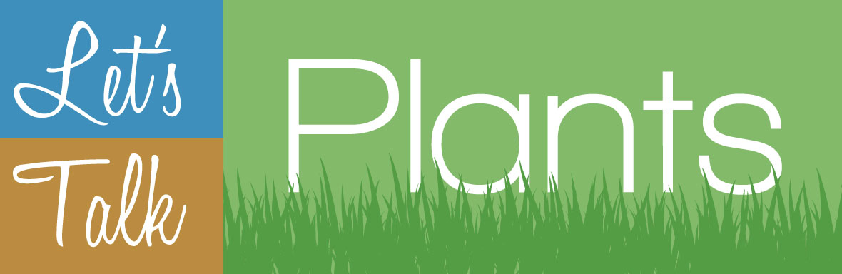 Let's Talk Plants | A blog about plants…